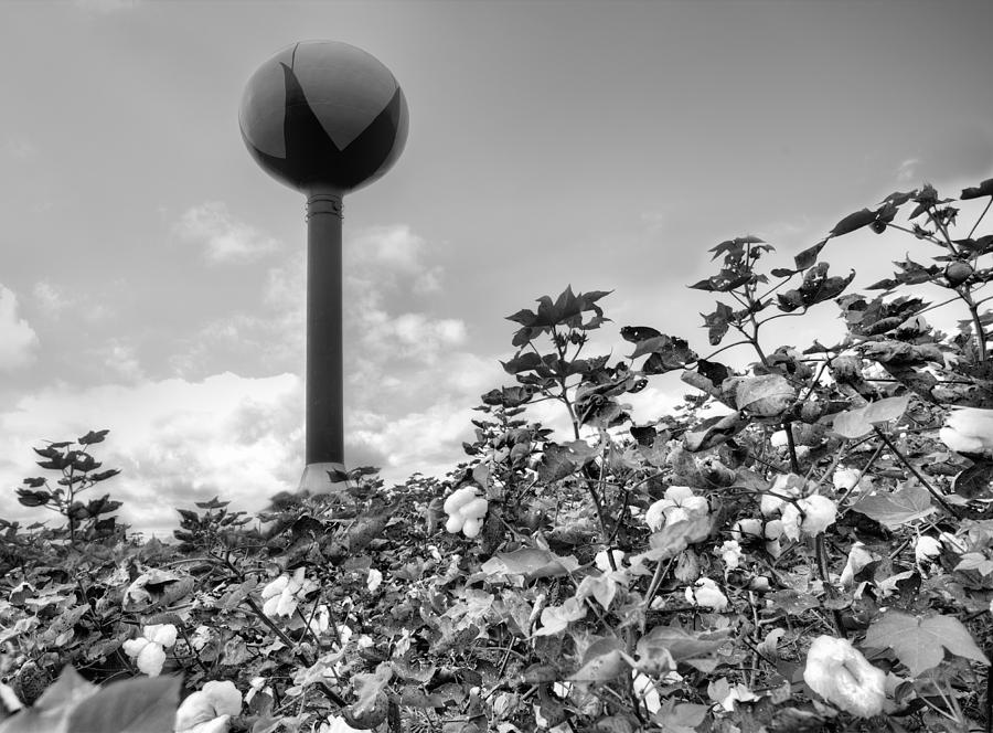 Dallas Skornia - Pace - Levin Rinke Realty